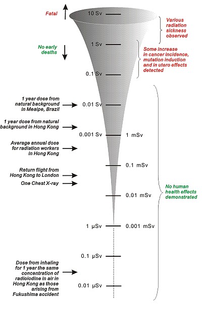 A scientific perspective of the radiological effects of the Fukushima ...
