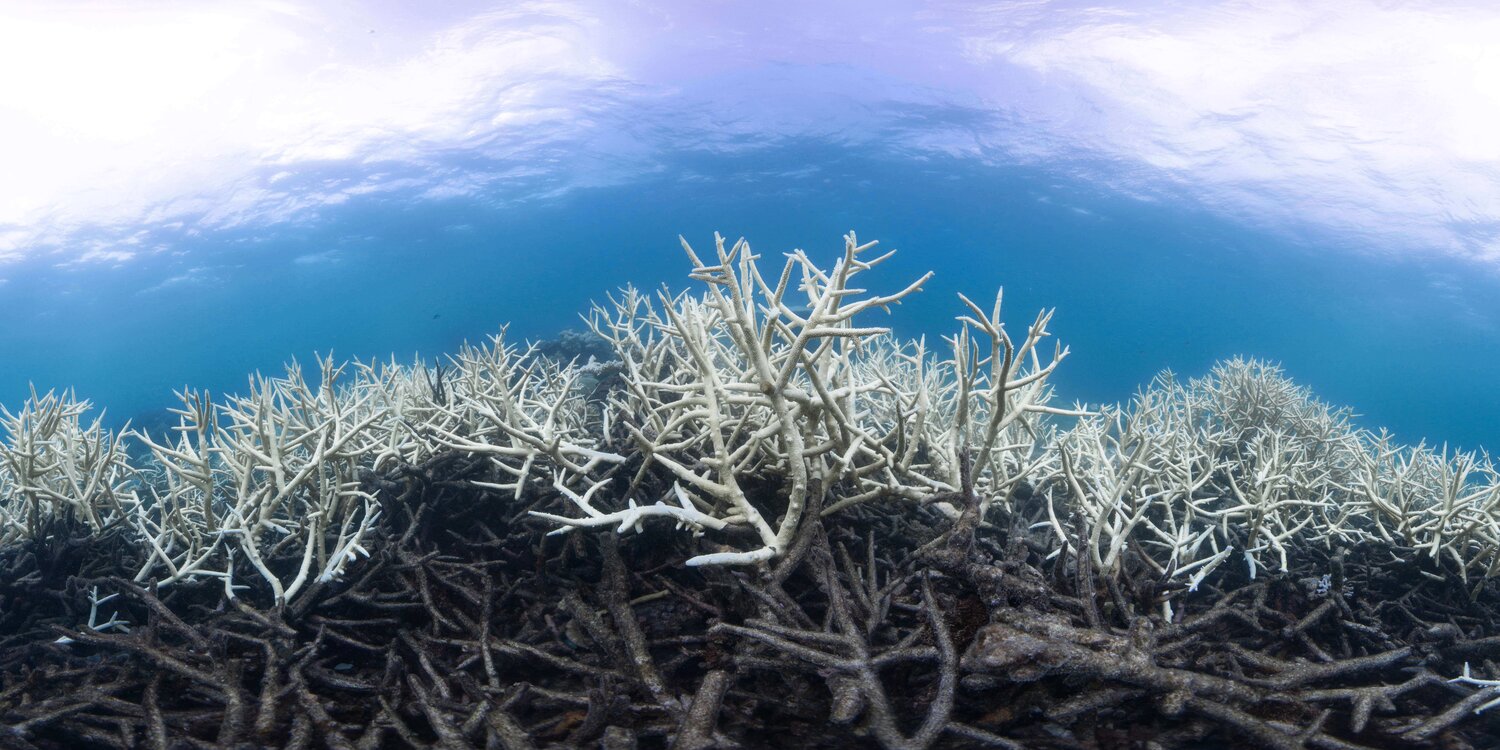 Oceans under Climate Change｜Hong Kong Observatory(HKO)｜Educational ...